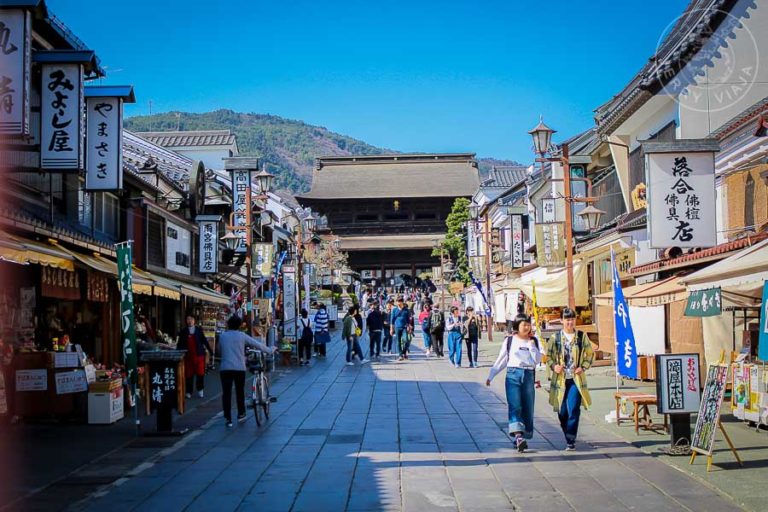 Guía: Qué ver en Nagano | Jerry Viaja